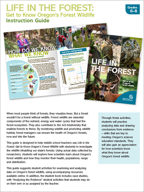 Life in the Forest: Instruction Guide | Learn Forests